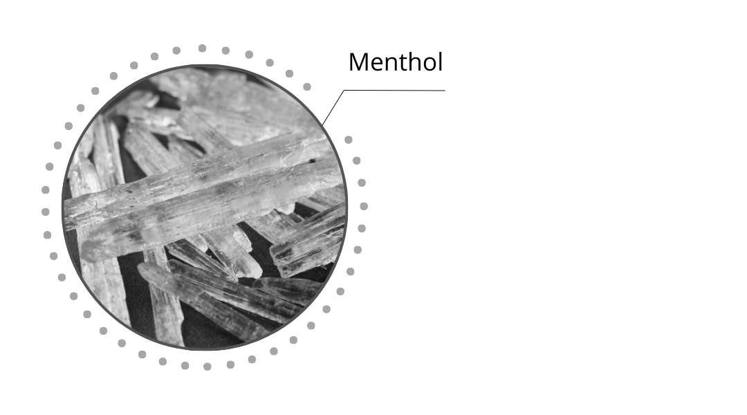 Menthol naturel